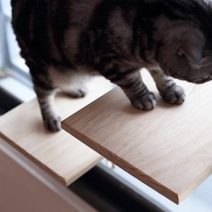 FECA｜品牌旗艦｜特力屋